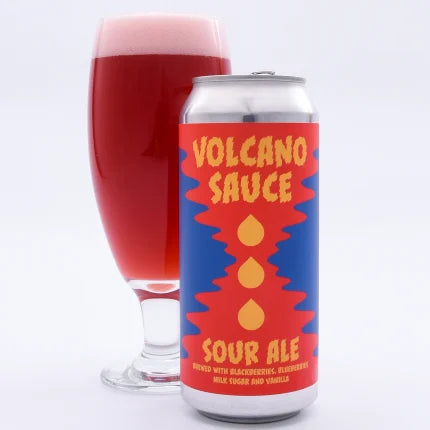 Aslin Volcano Sauce Sour Ale Beer – H ST LIQUORS